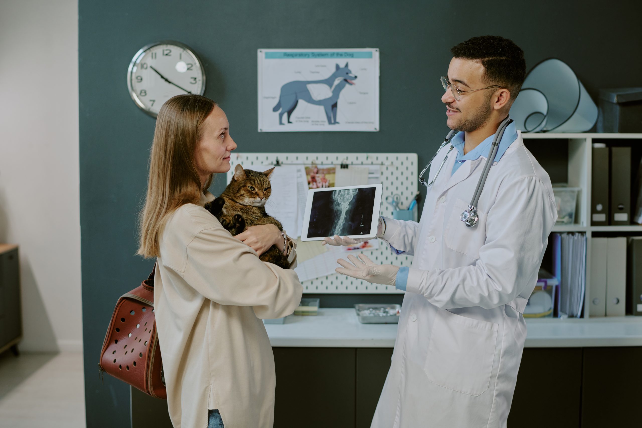 Record Management for Veterinary Clinics - Corrigan Record Storage