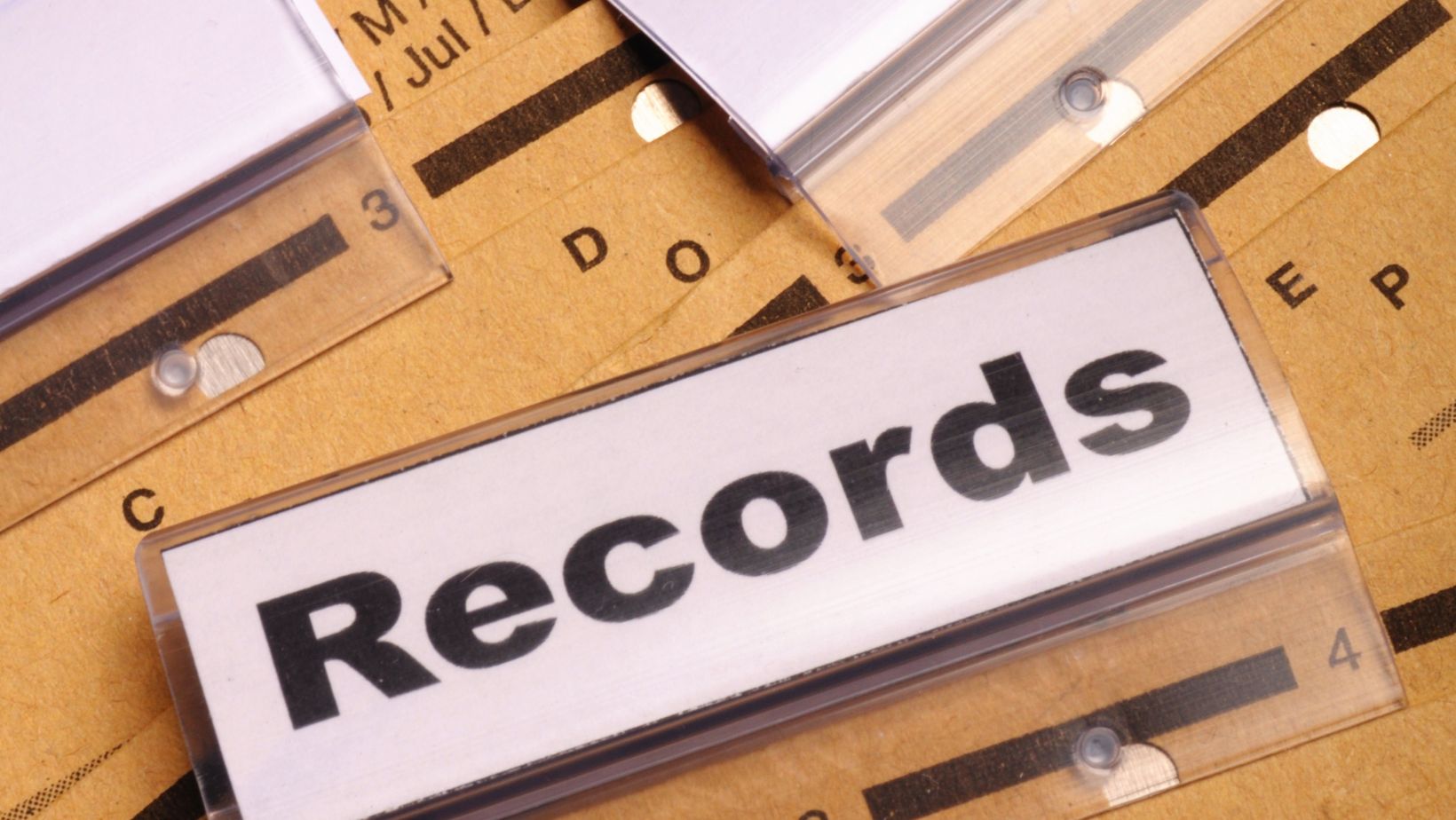 What Every Growing Business Should Know About Organizing and Storing ...